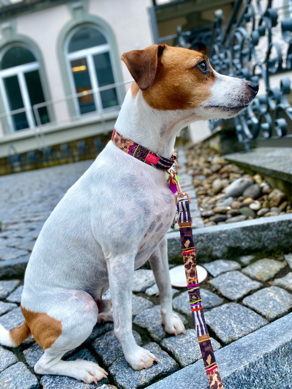 PELLINA - Hundeleine "Freaky Animal" – Pellina